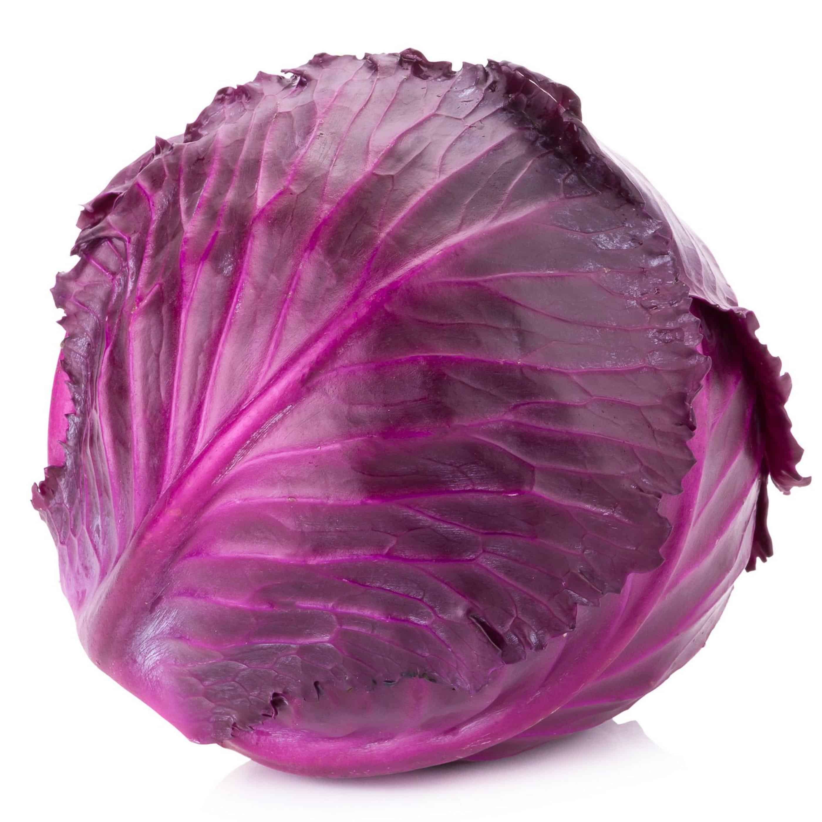 Health Benefits of Red Cabbage | Enliven Health & Fitness